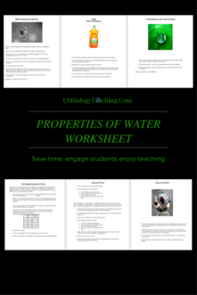 Properties of Water Worksheet - USBiologyTeaching.com