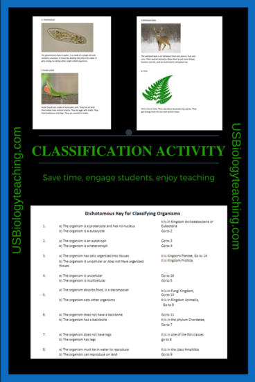 Classification Activity - USBiologyTeaching.com